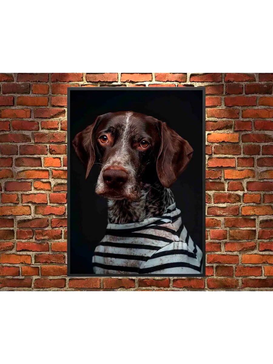 Пойнтер-собака-заключенный 3, Плакат 30x42см