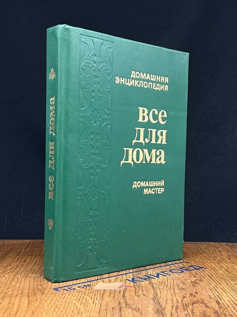 Книга. Домашний мастер 1993 (2040580861651)