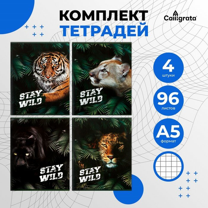 Набор тетрадей 96 листов в клетку Calligrata Хищники, обложка мелованный картон, блок офсет, 4 шт.