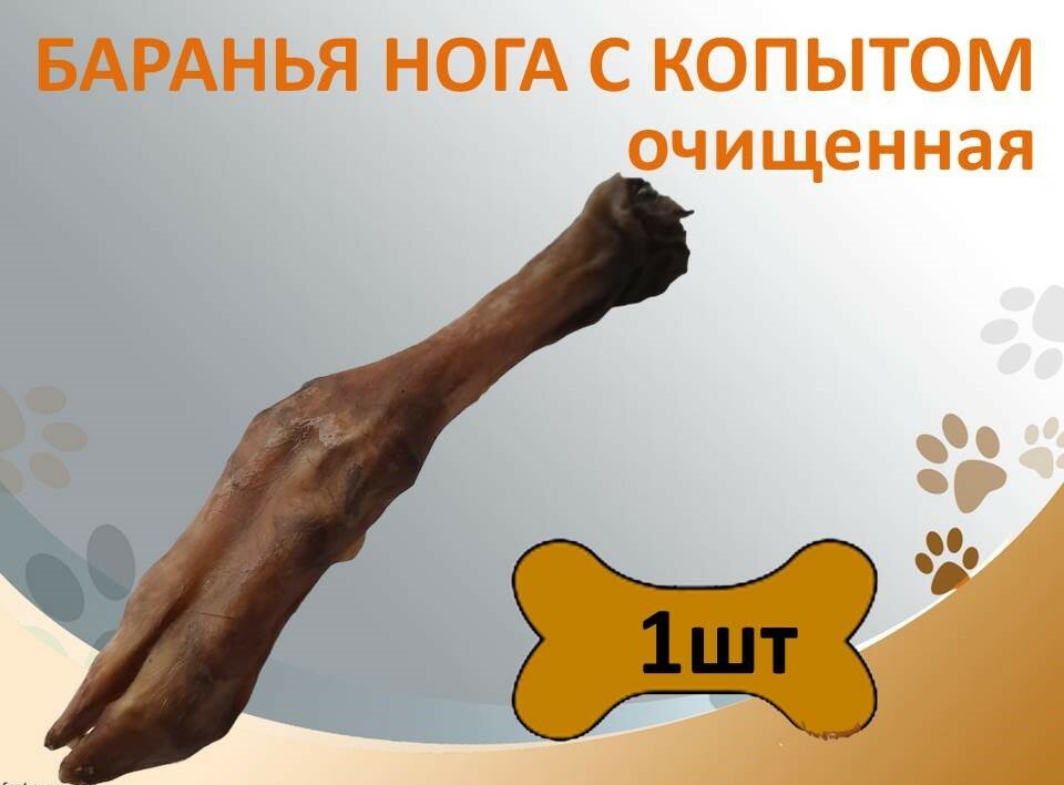 Баранья нога с копытом 1шт. Сушеное натуральное лакомство для поощрения собак