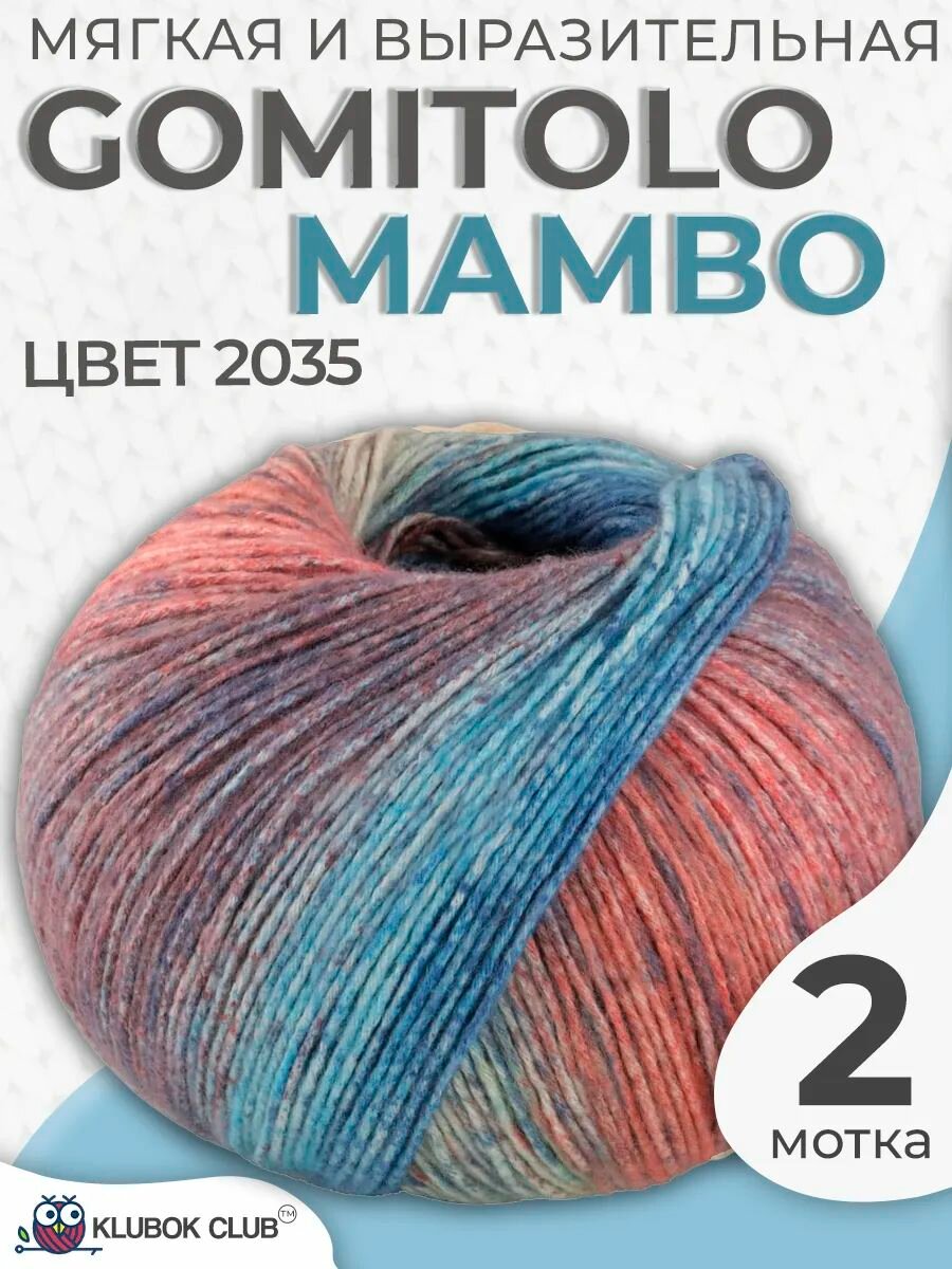 Пряжа для вязания Lana Grossa Gomitolo Mambo секционный принт, цвет 2035, 2 мотка