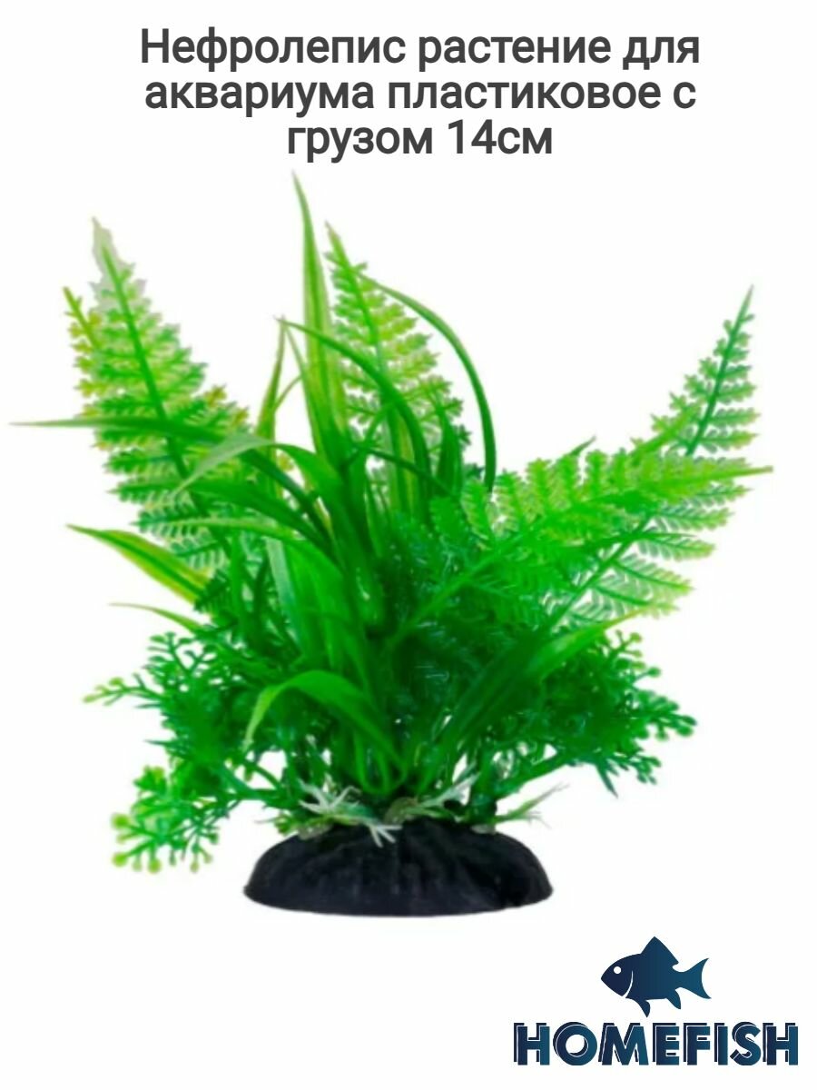 HOMEFISH 14 см Нефролепис растение для аквариума пластиковое с грузом