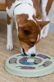 Интерактивная миска для медленного кормления/ Игрушка-головоломка для собак, кошек / развивающая миска для животных