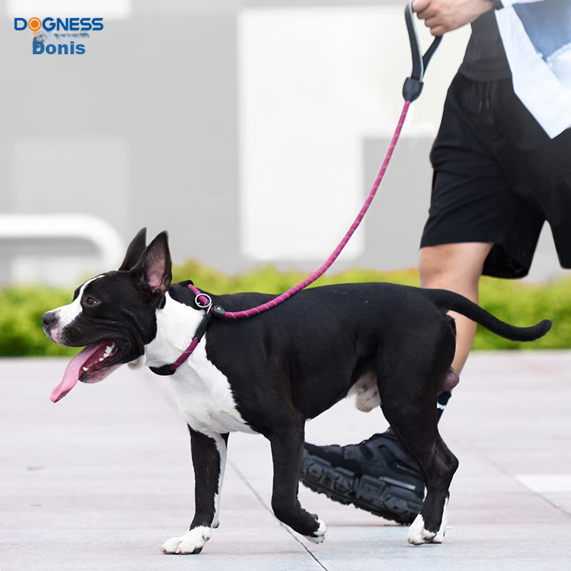 DOGNESS Dog Leash, Dog Training Lead, Collar, for Small Dogs, Walking Rope, P-Chain, Anti-Burst, for Teddy, Bichon Frise, French Bulldog, Pomeranian, Jazhong, Size S