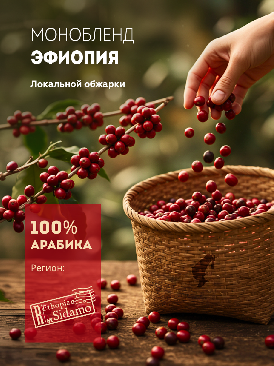 Дрип кофе, Эфиопия (Сидамо), 100% Арабика Julius Meinl, 10 пакетиков — фото 1