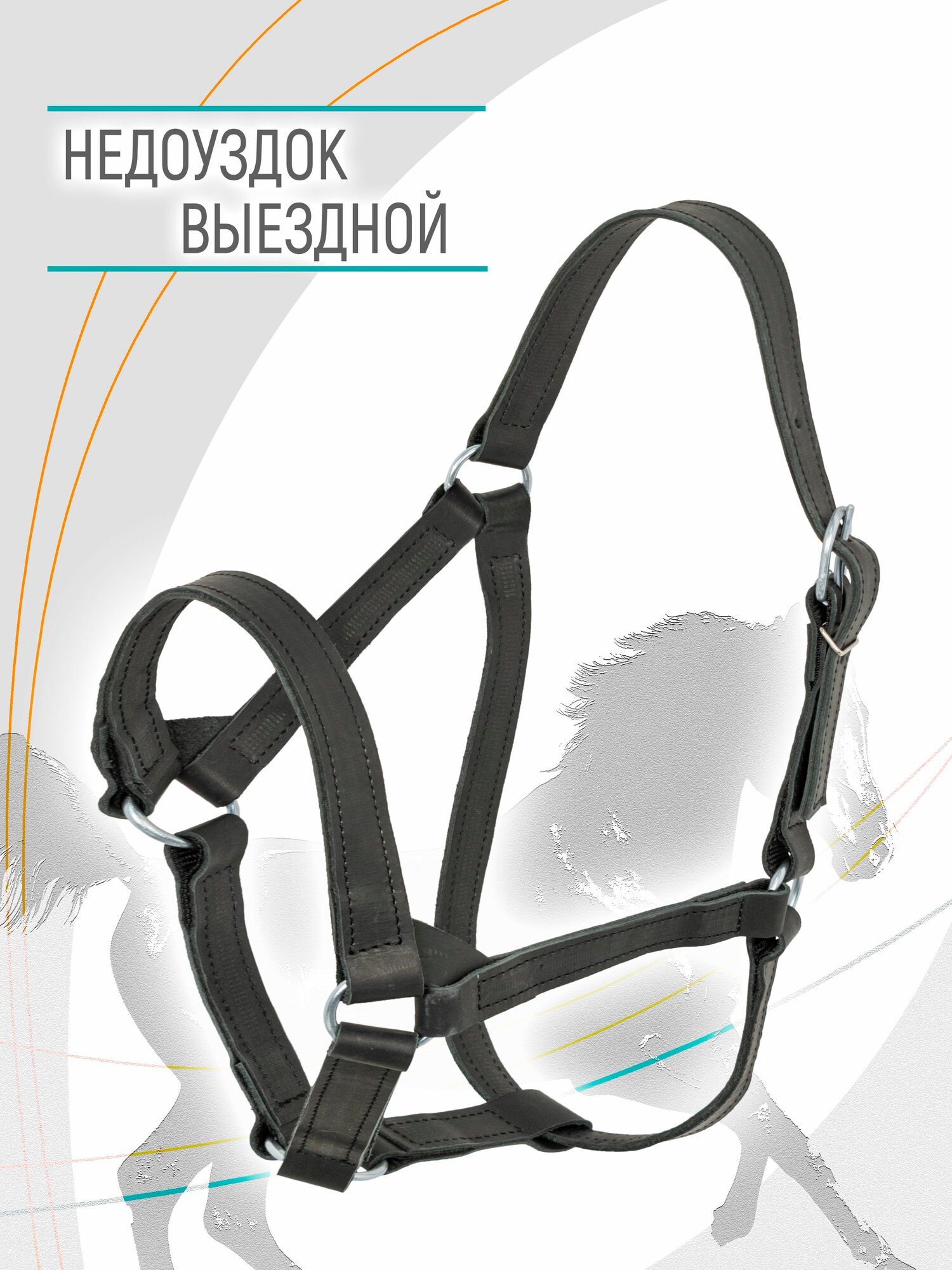 Недоуздок выездной REITER