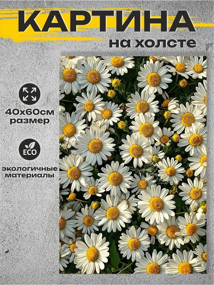 Картина на стену на холсте "Ромашки" 60х40 см