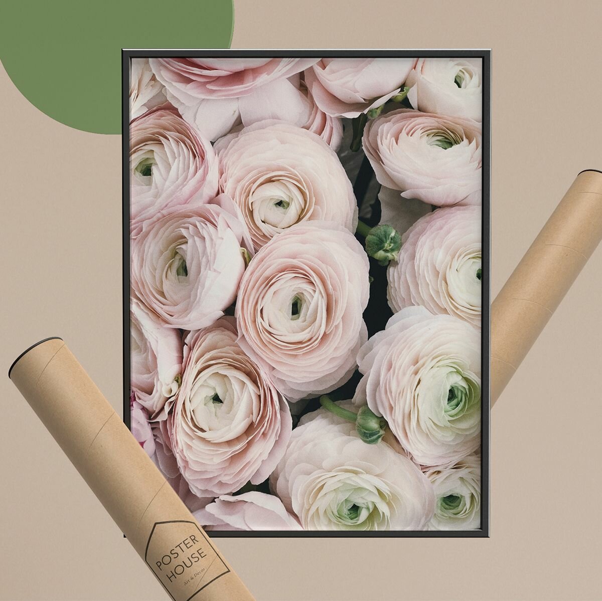 Постер Ранункулюсы 50х70 см без рамы/ Минимализм, букет, цветы/ Стильный эстетичный современный плакат для интерьера дома, декор на стену