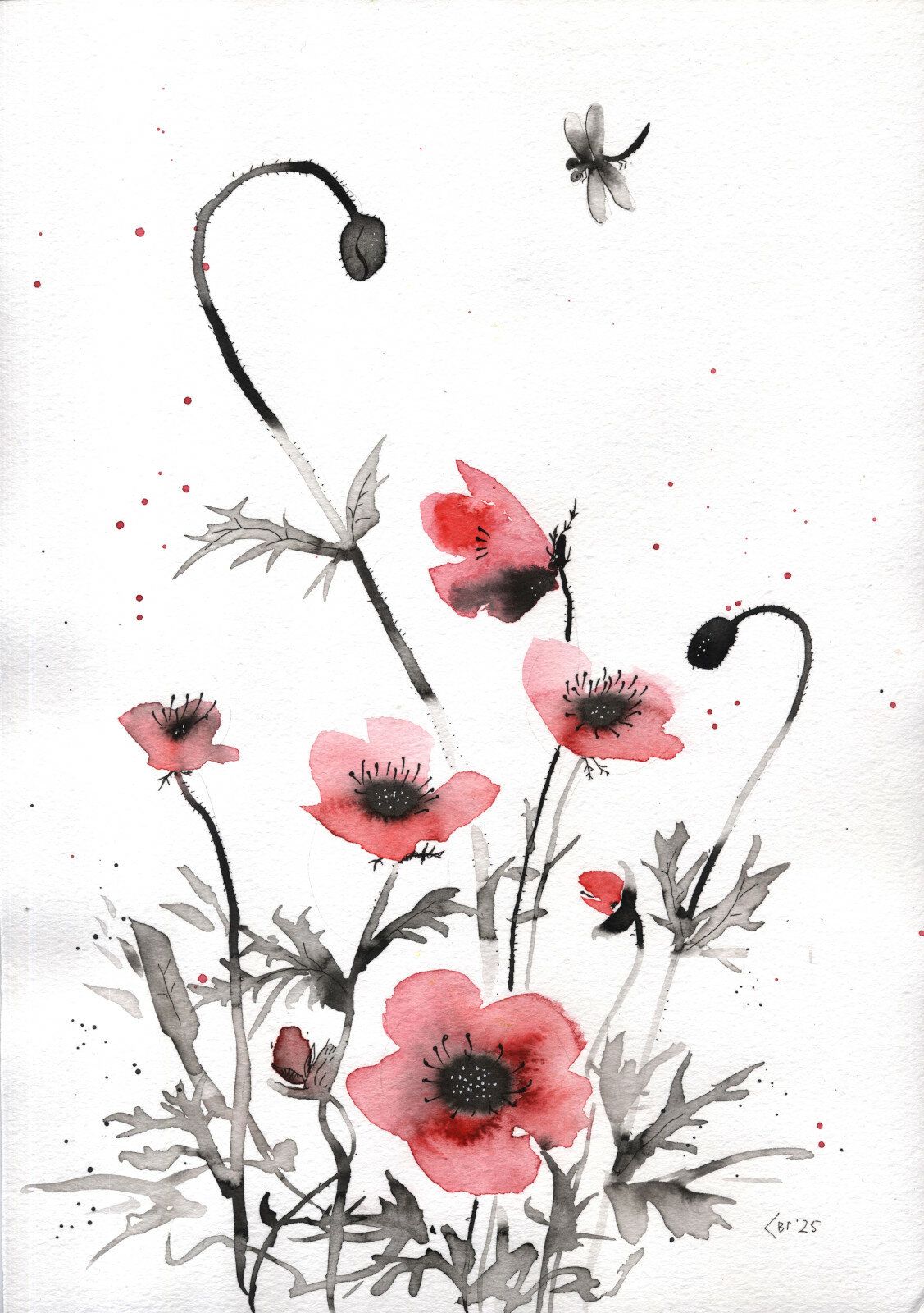 Картина акварельная "Маки и стрекоза", ручная работа, акварель, 21х30 см