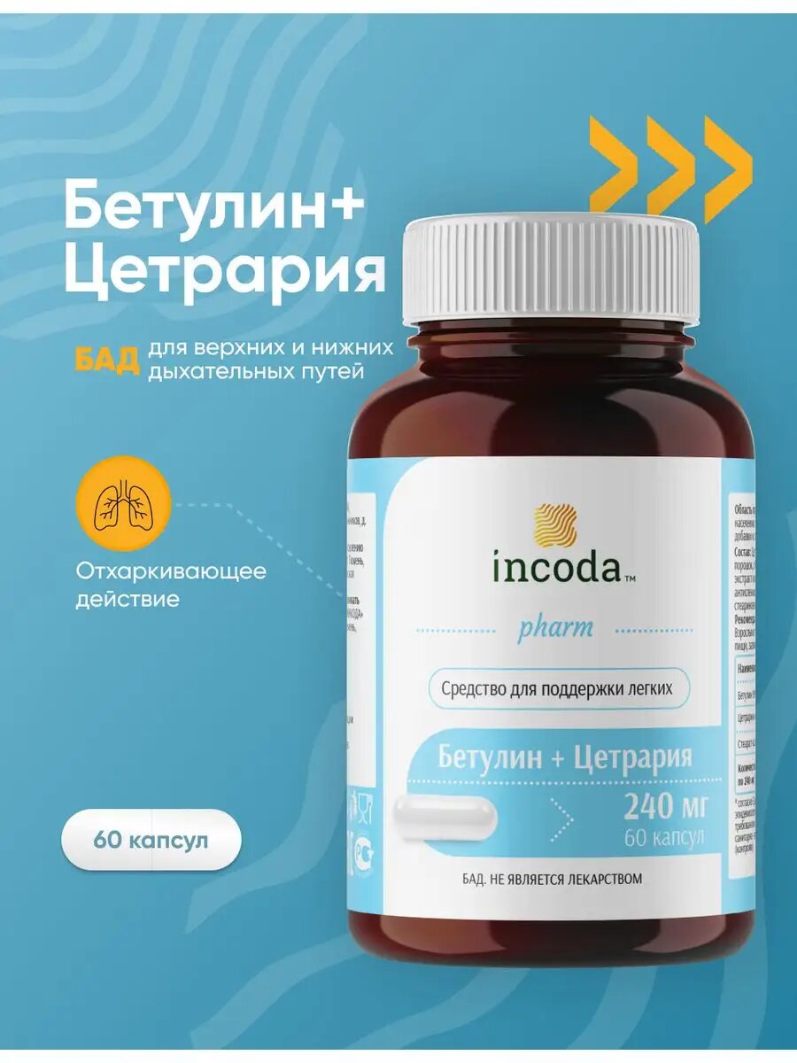 Incoda Бетулин+Цетрария противовирусный препарат от коронавируса, исландский мох, от кашля, для иммунитета, 60 шт