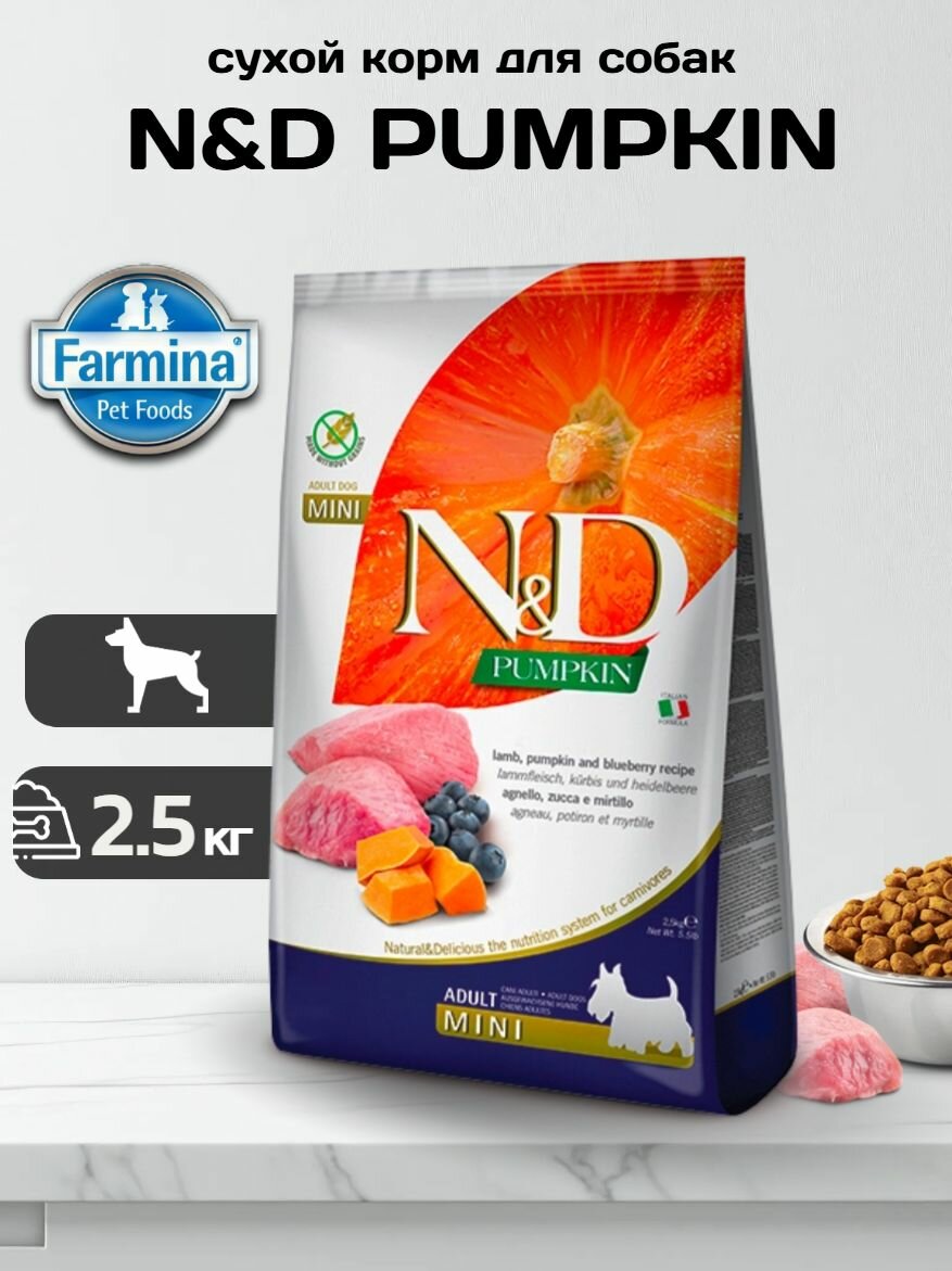 Сухой корм для собак мелких пород Farmina Фармина N&D Pumpkin GF Adult Mini (Тыква, ягненок, черника) - 2,5 кг
