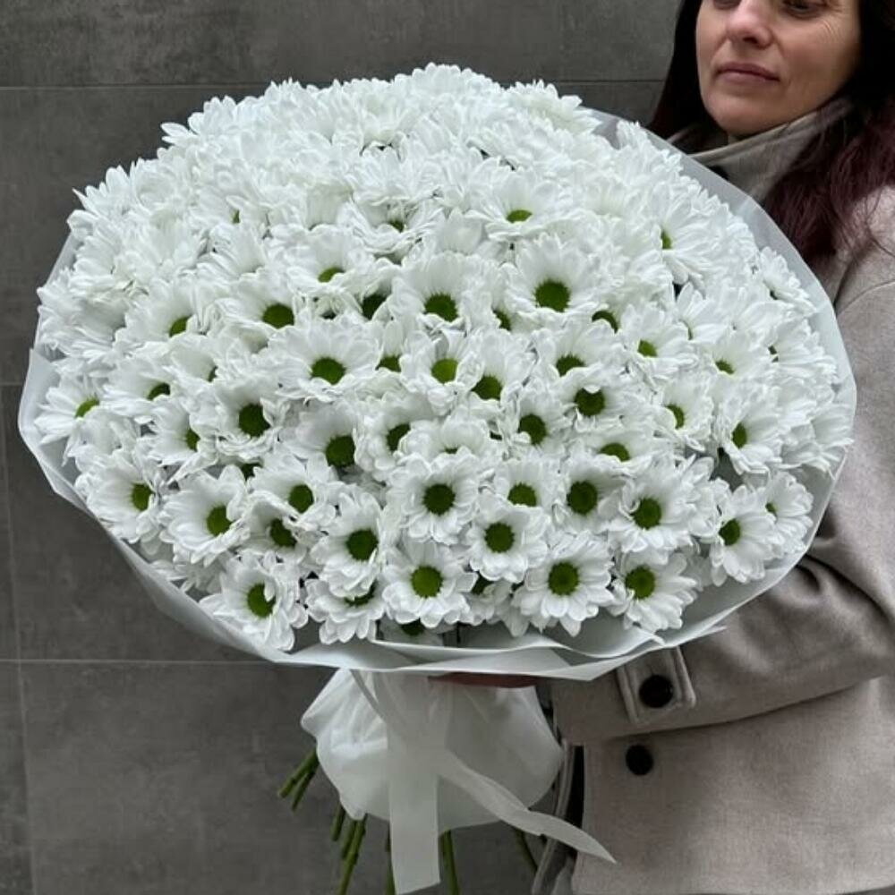 Букет из белых кустовых хризантем 51 шт, шикарный букет, премиум цветы, премиум букет