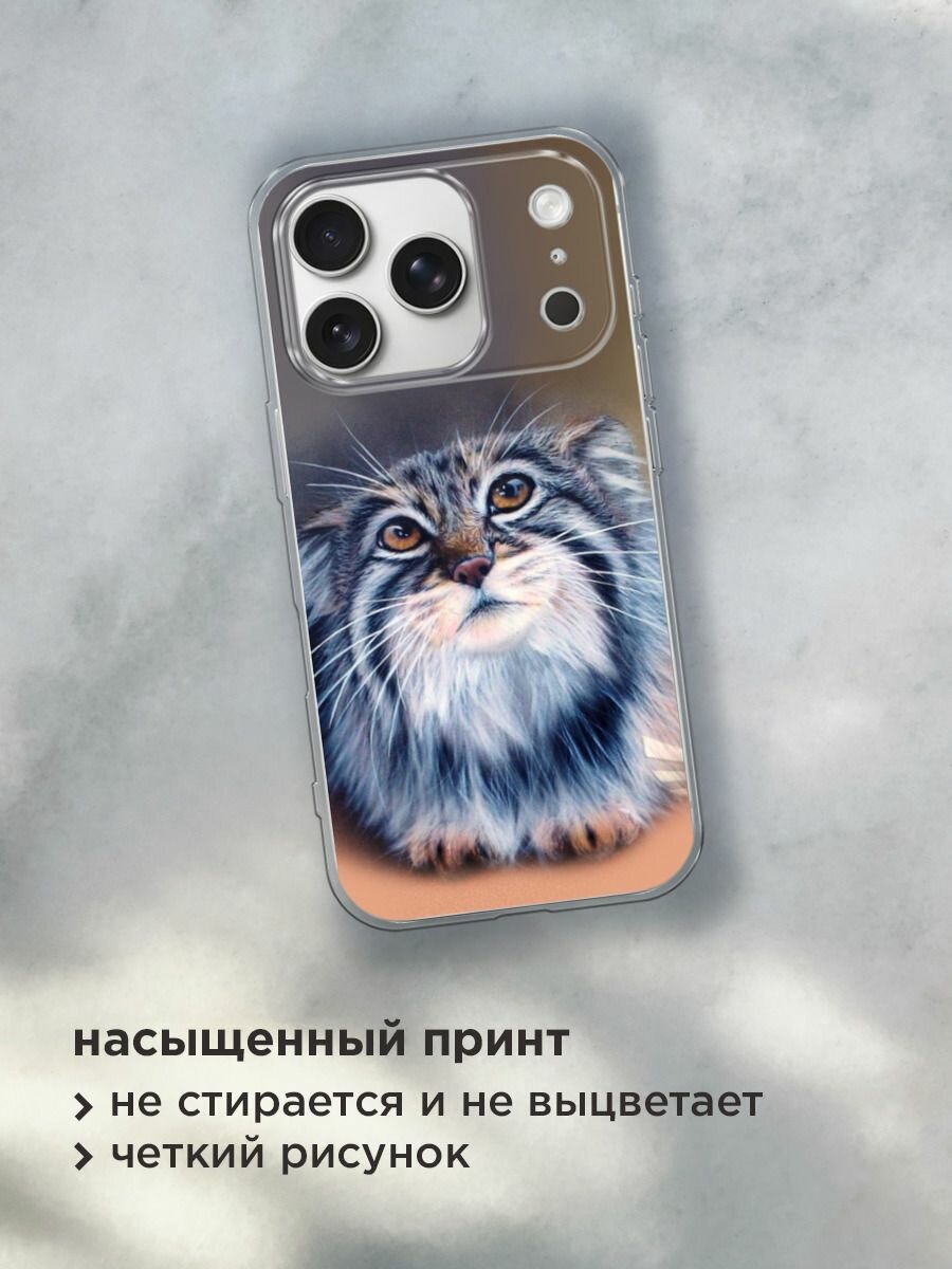 Чехол на Apple iPhone 17 Pro / Айфон 17 Про с принтом "Кот манул 2" — фото 1