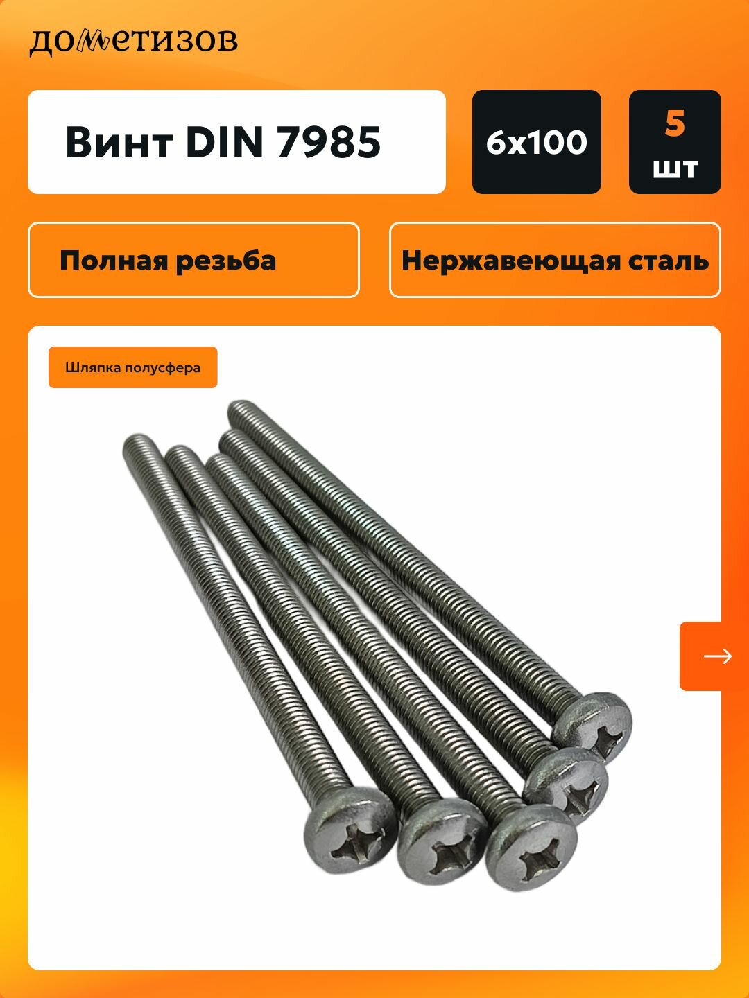 Винт DIN 7985 М 6х100 А2 , 5 шт.