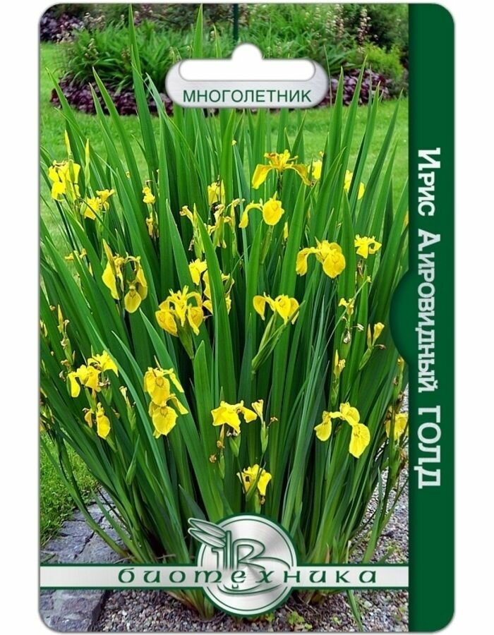 Семена Ирис аировидный Голд Биотехника