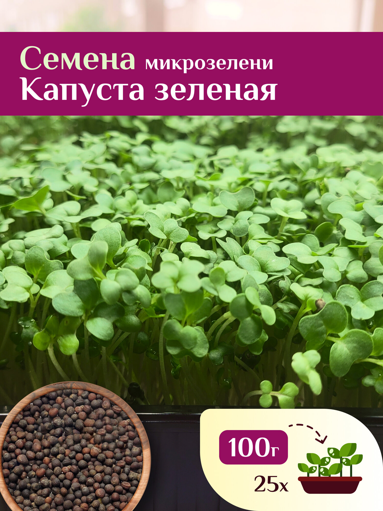 Семена микрозелени Капуста, Ильинские проростки 100г