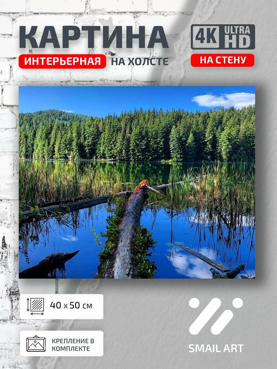Картина на холсте интерьерная 40 на 50 на стену День Landscape для спальни пейзаж интерьер