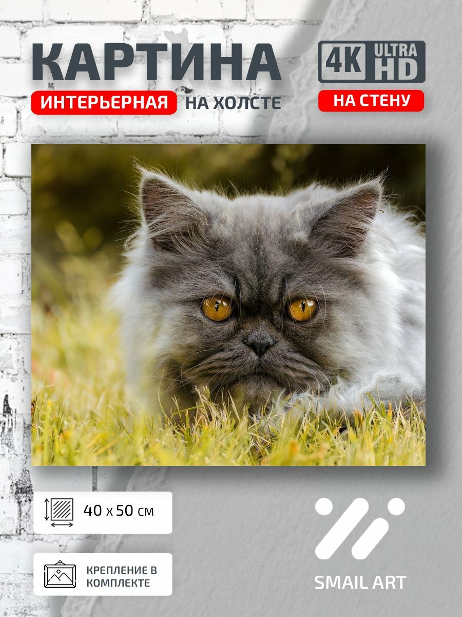 Картина на холсте интерьерная 40 на 50 на стену Шерсть Animal для гостиной animal style