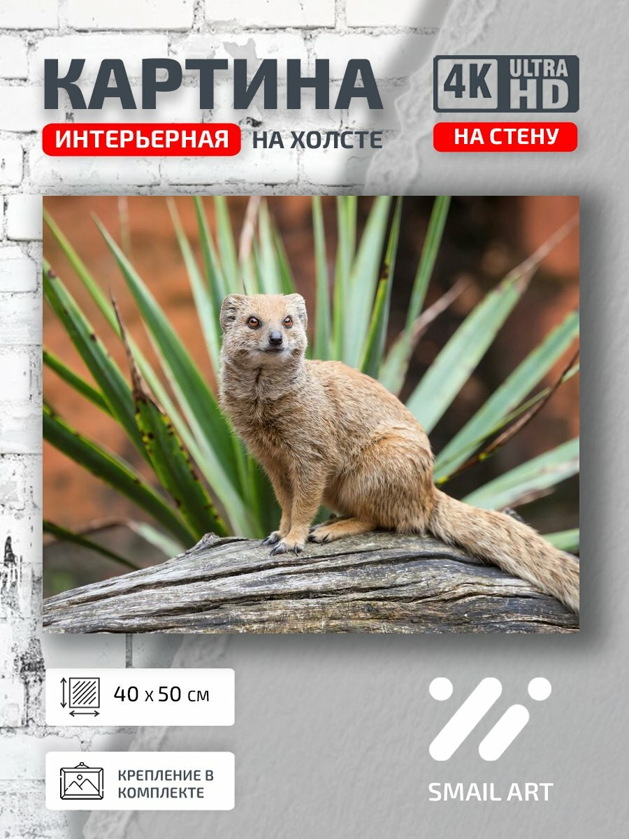 Картина на холсте интерьерная 40 на 50 на стену Пейзаж animals для кафе пейзаж интерьер