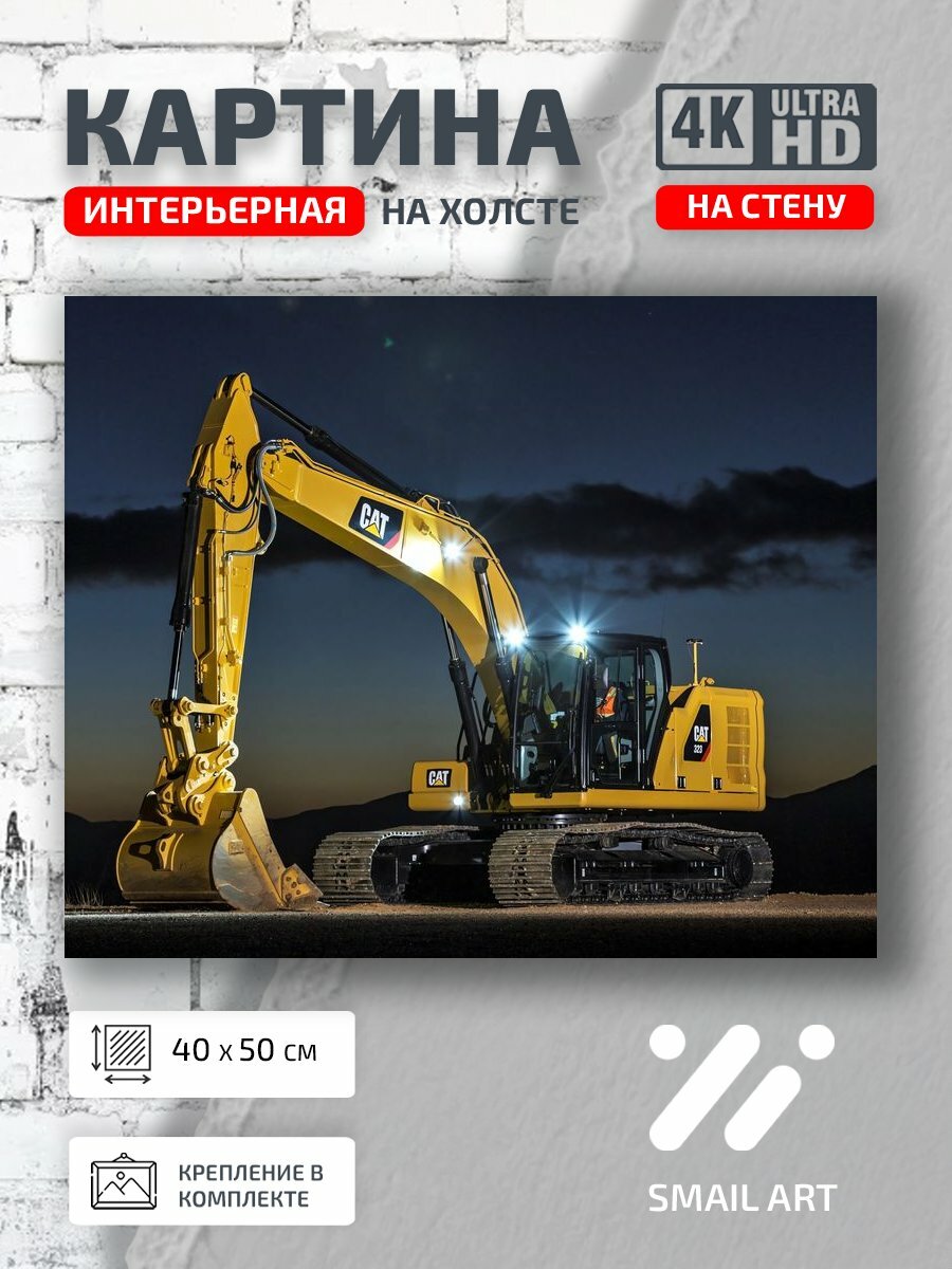 Картина на холсте интерьерная 40 на 50 на стену Техника cat для гостиной animal style декор