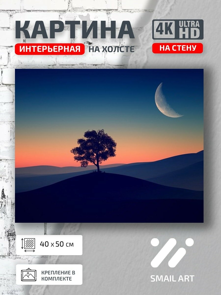 Картина на холсте интерьерная 40 на 50 на стену одиночества полумесяц для гостиной пейзаж