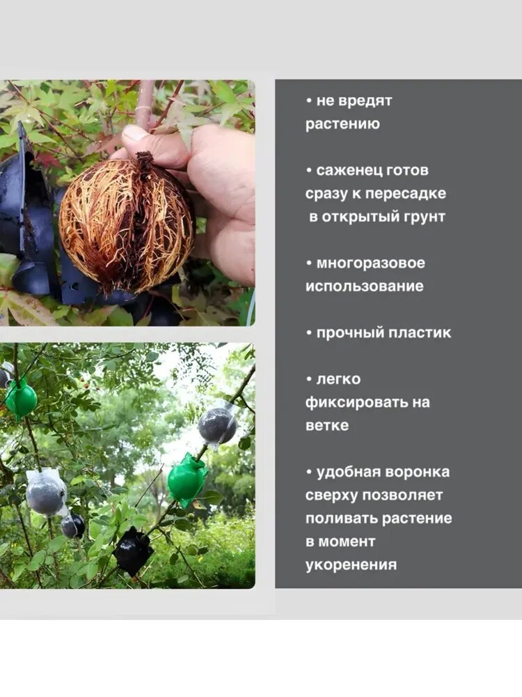 Набор для выращивания — фото 1
