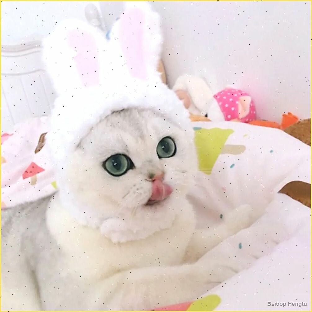 Головной убор "Кошка шляпа", для кошек, красный, вязаный, мягкий, для прогулок — фото 1