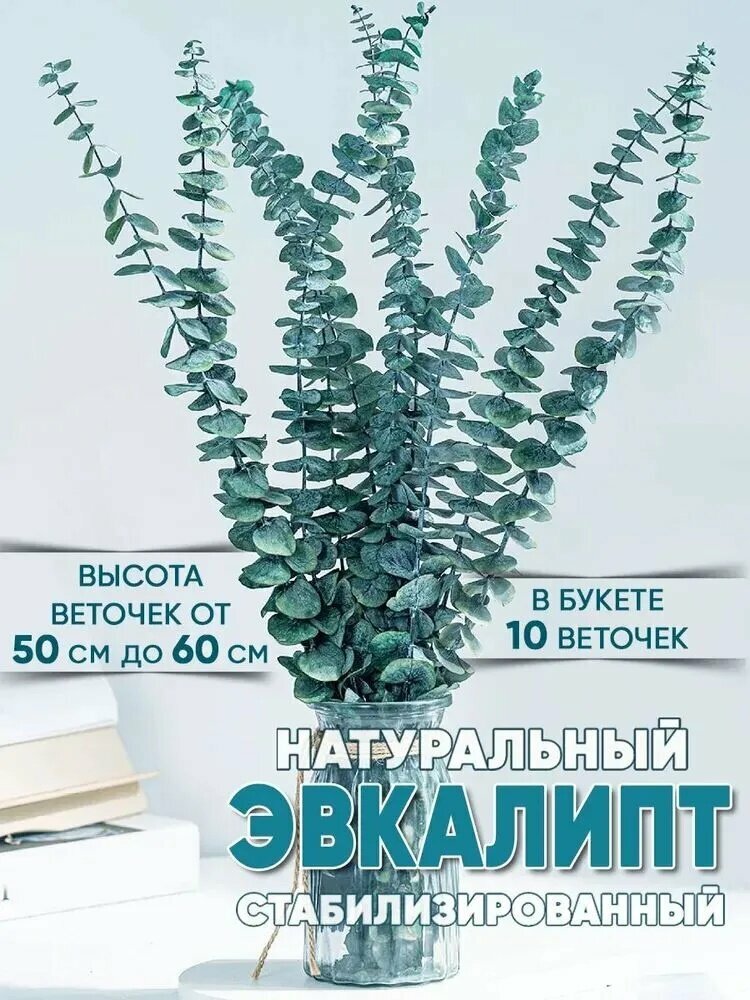 Сухоцветы Эвкалипт, 59 см, 270 гр, 10 шт