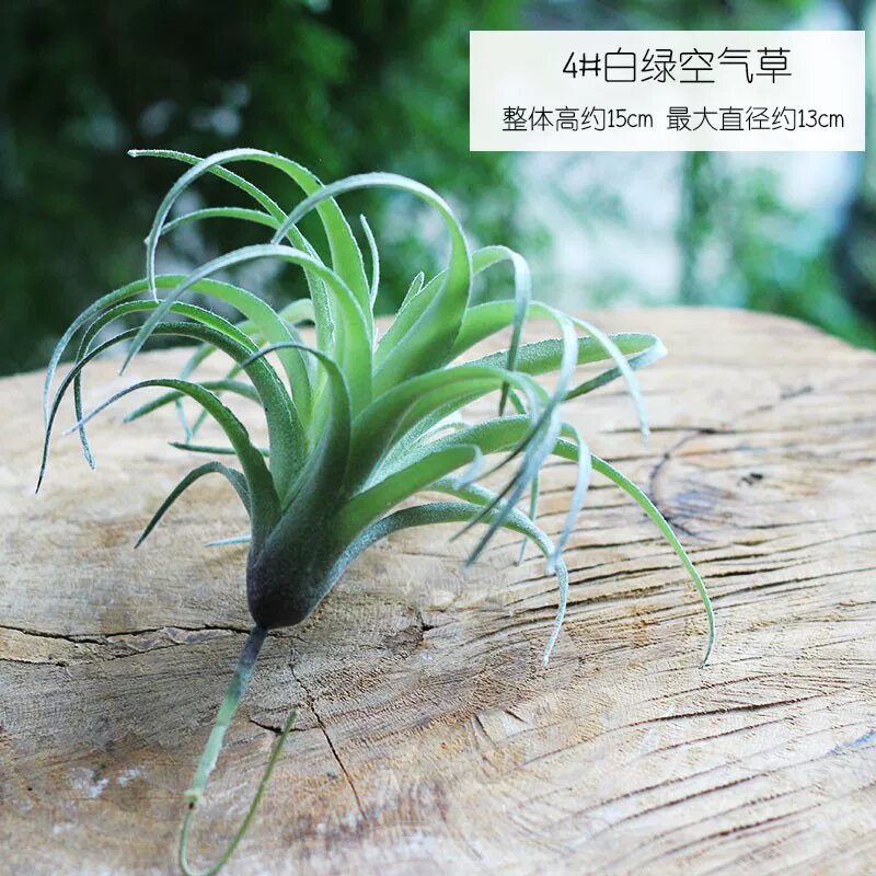 Имитация флокированного воздуха, ананаса, фигурных листьев, травы, большие суккуленты в пустыне, скандинавская