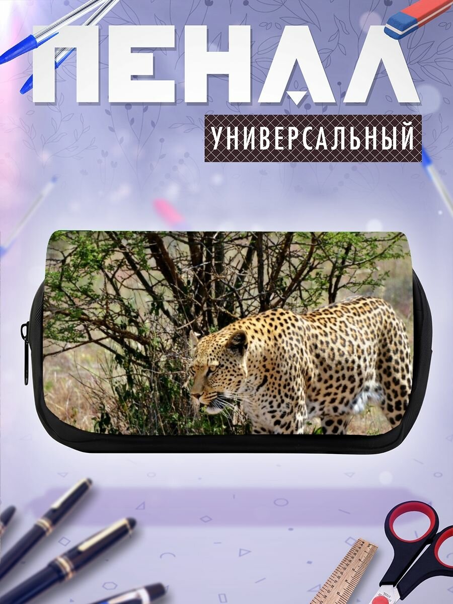 Школьный пенал Гепард Ягуар