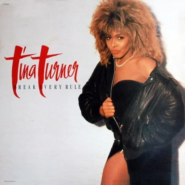 Пластинка виниловая TINA TURNER - Break Every Rule, импортное издание на виниле