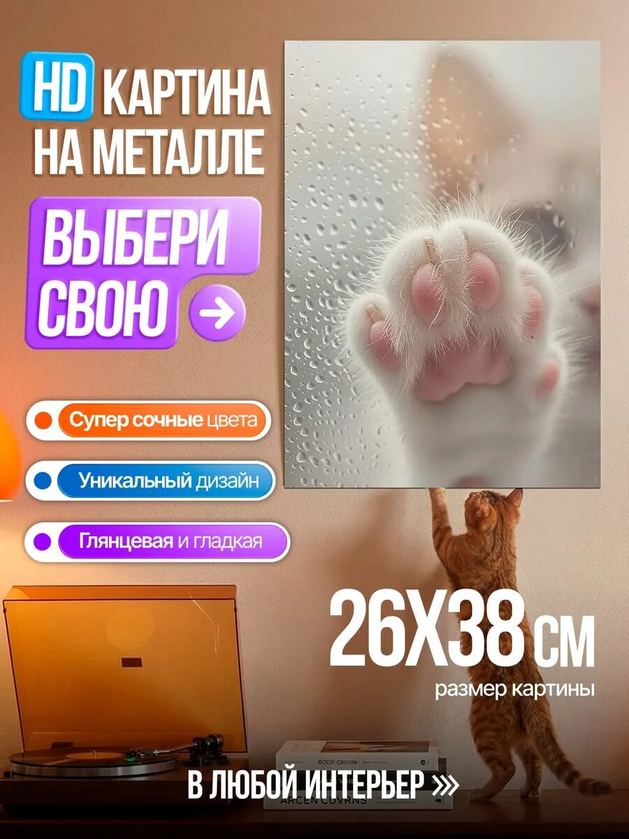 Картина на HD металле Лапка котенка на стекле