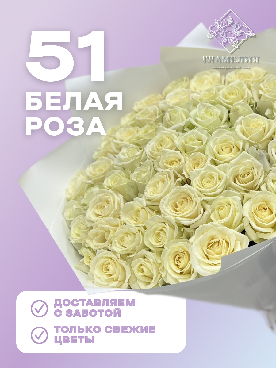 Гламелия цветы «Белое облако»: 51 роза Avalanche в пленке – купить свежие цветы с доставкой в Москве