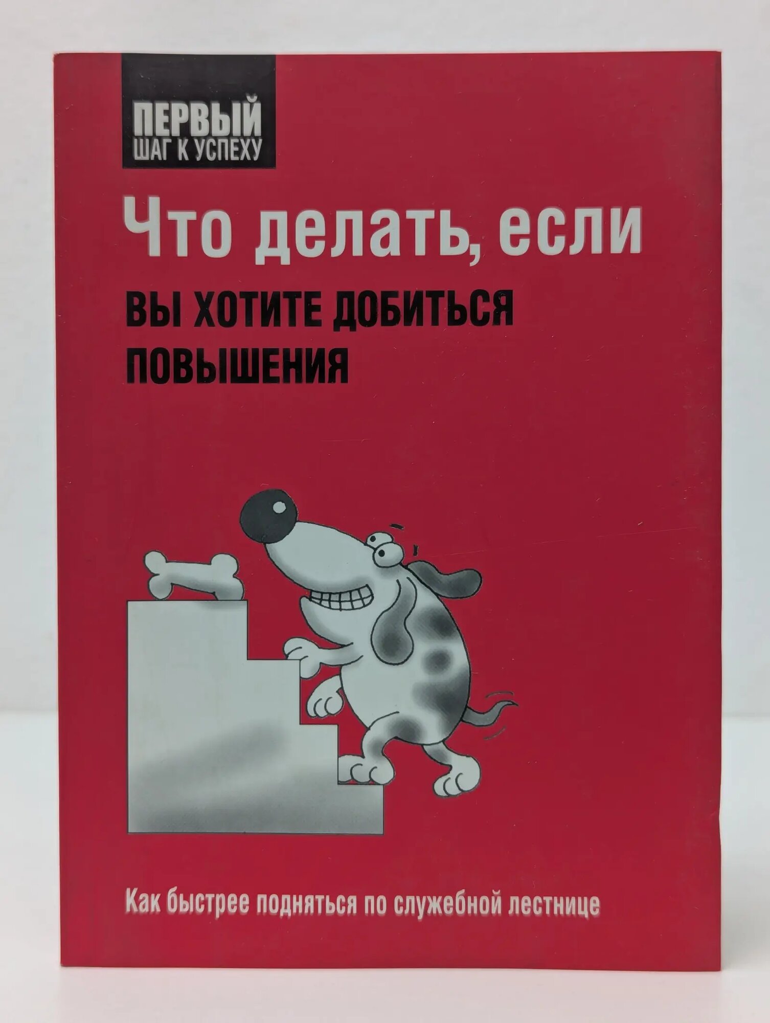 Что делать, если вы хотите добиться повышения Борич С. Э. (пер.) 2009