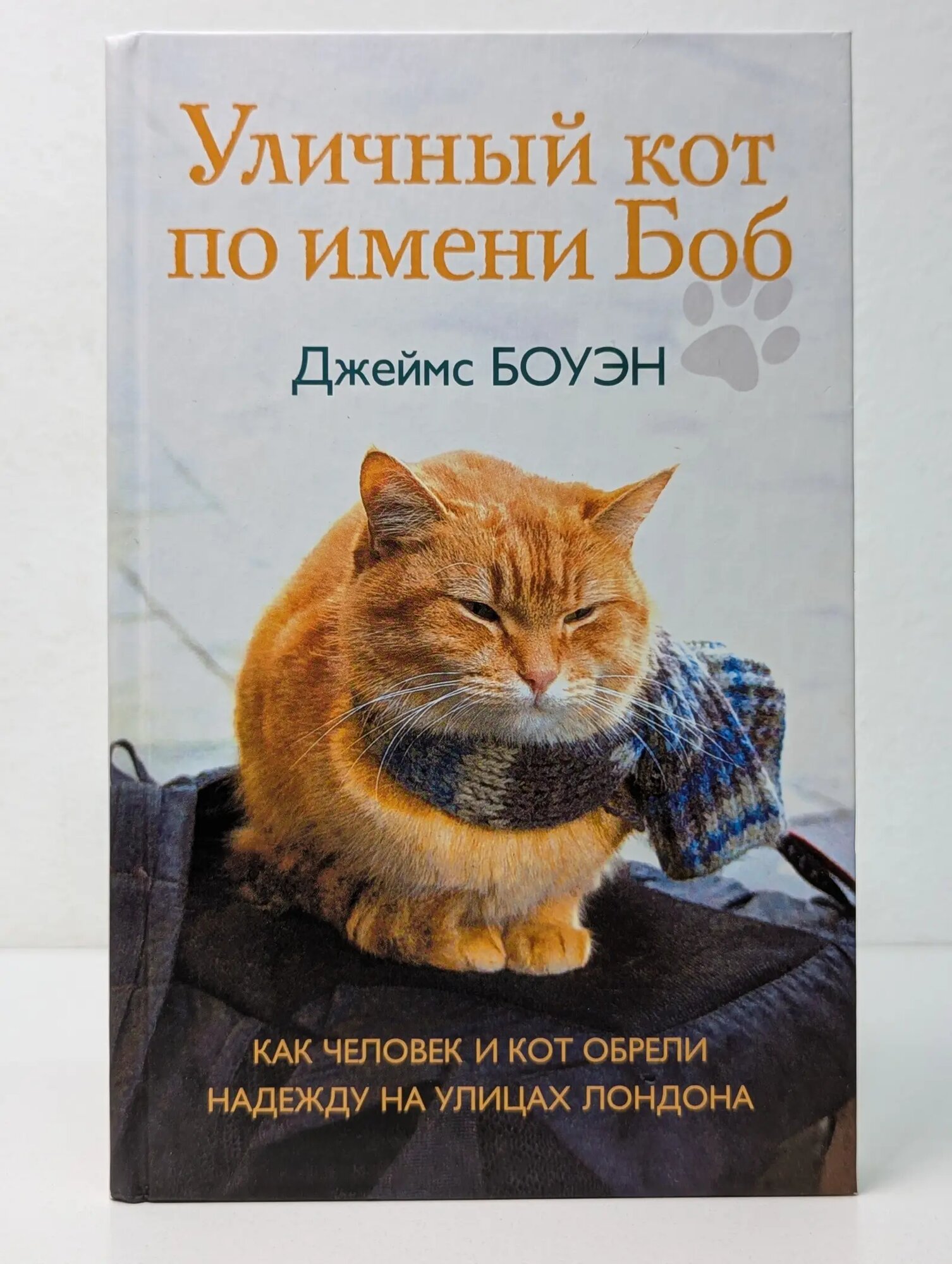 Уличный кот по имени Боб Боуэн Джеймс 2014