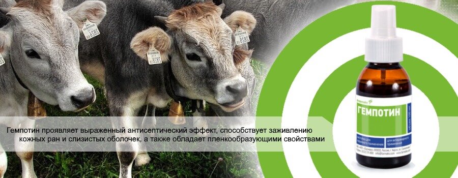 Гемпотин спрей Фармакс, антисептический, для ветеринарного применения,100 мл — фото 1