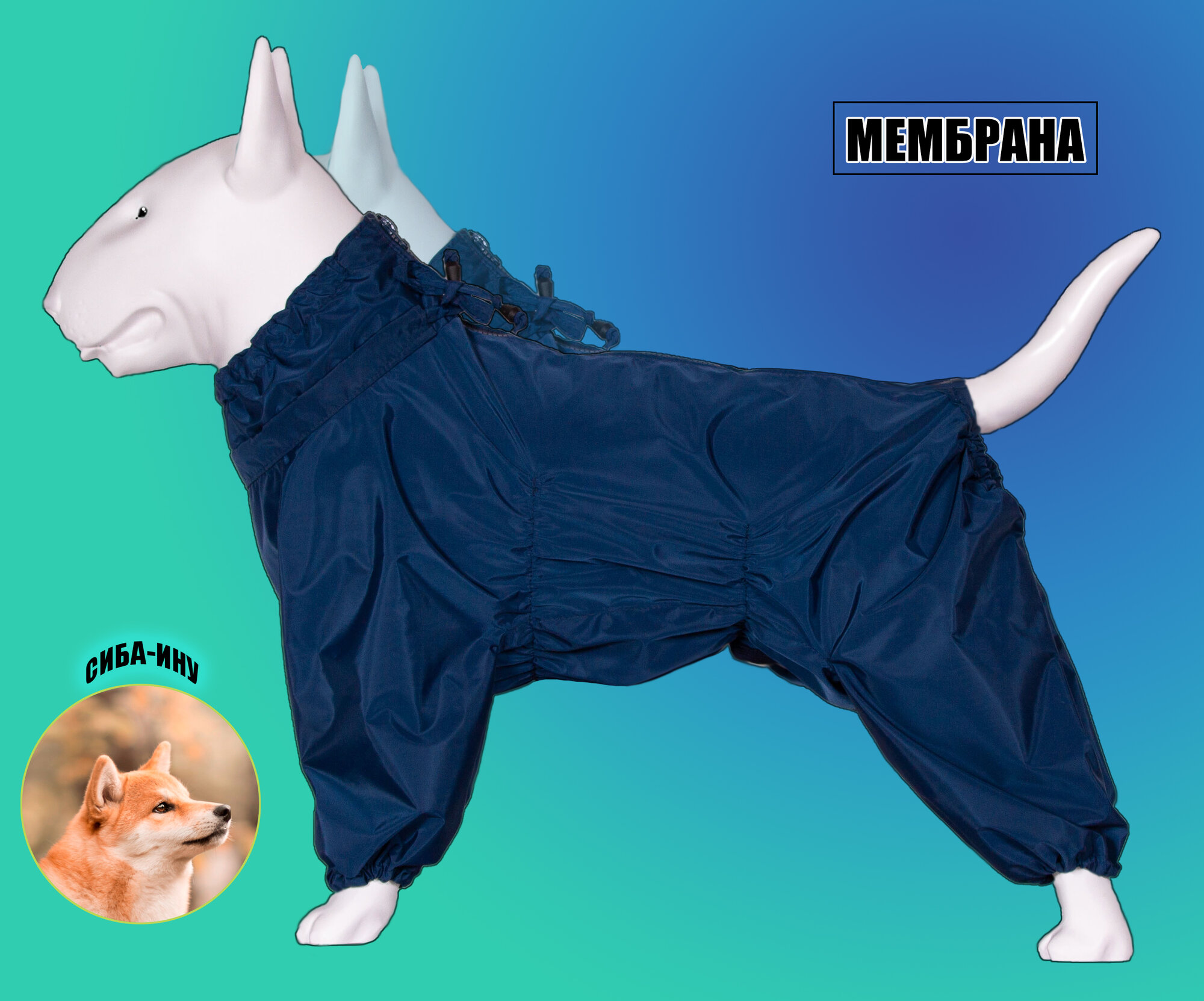 Комбинезон-дождевик для сиба-ину кобеля, мембрана, цвет морская волна