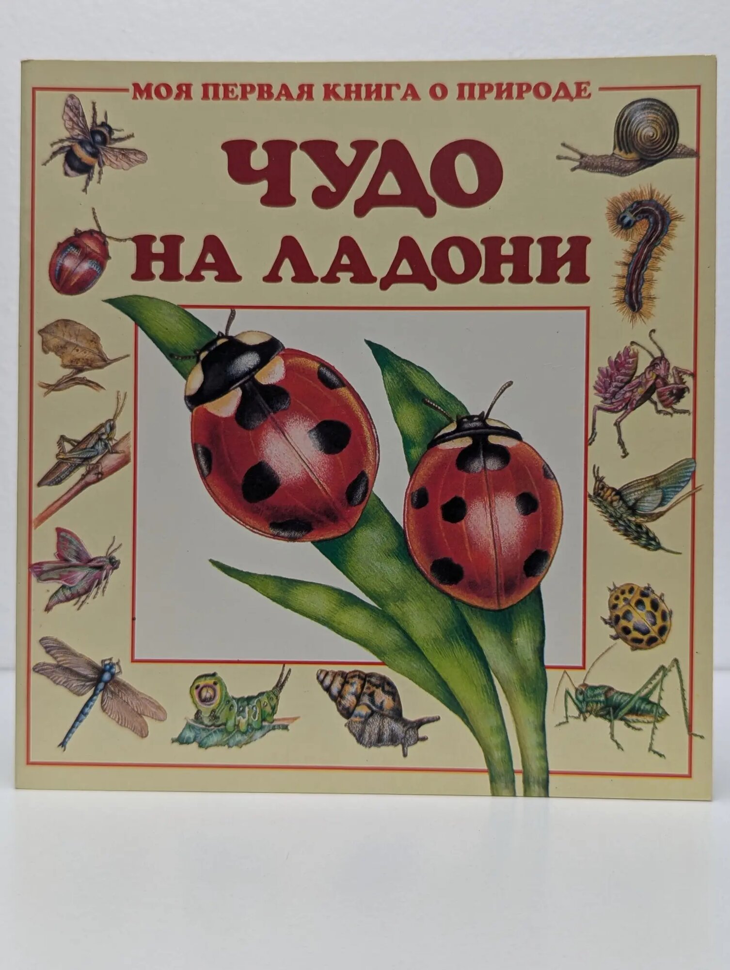 Чудо на ладони Килпатрик Кэти 1996
