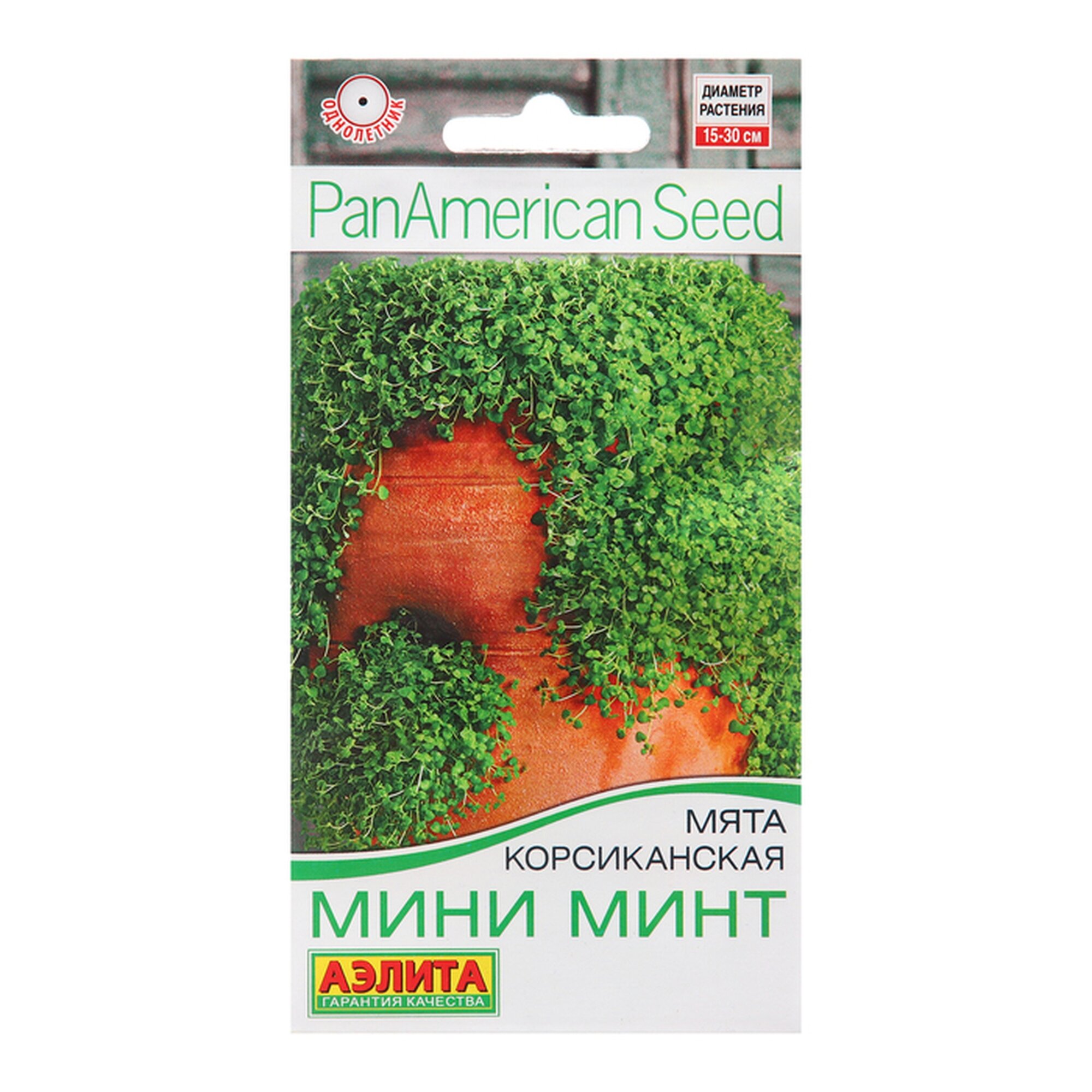 Семена Мята корсиканская Мини минт Одн (драже в пробирке) Сел. PanAmerican Ц/П 3шт 10221188