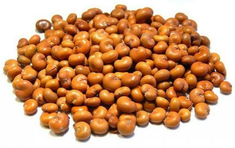 Лимонник, семена, пакет, беловодье, 20 г