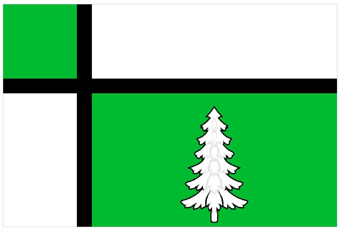 Флаг города Тайшет