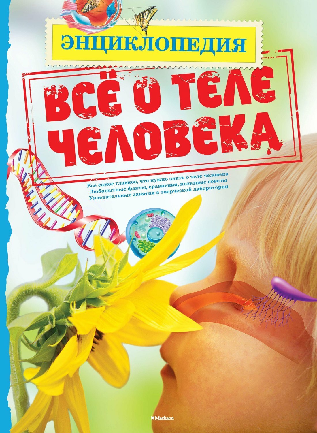 Всё о теле человека