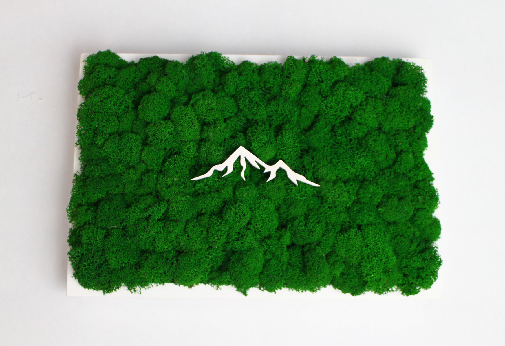 Эко-картина из стабилизированного мха "Горы малые", 20х30 см