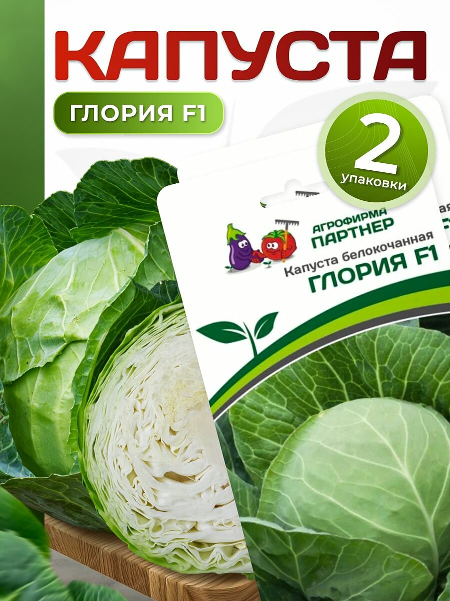 Семена капусты Глория