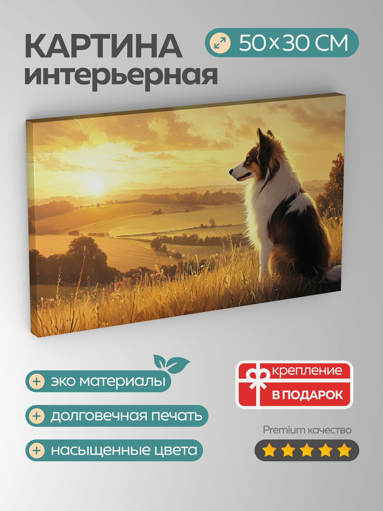 Картина на холсте интерьерная 50х30 см, Цифровая картина, колли, сельская местность, команды, свет, отблеск, тепло