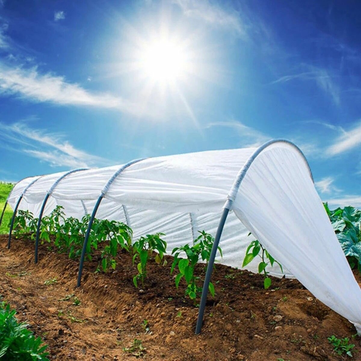 Парник Сибирь садовод, 6 секций, дуга 2 м, l6,5 м, колышки, клипсы