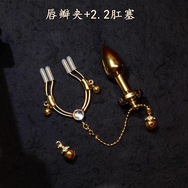 Вагинальный зажим, анальная пробка, набор, может регулировать боль, SM наказание, реквизит, чтобы выйти, нижняя часть тела, тренировочные инструменты, сексуальное нижнее белье, страсть