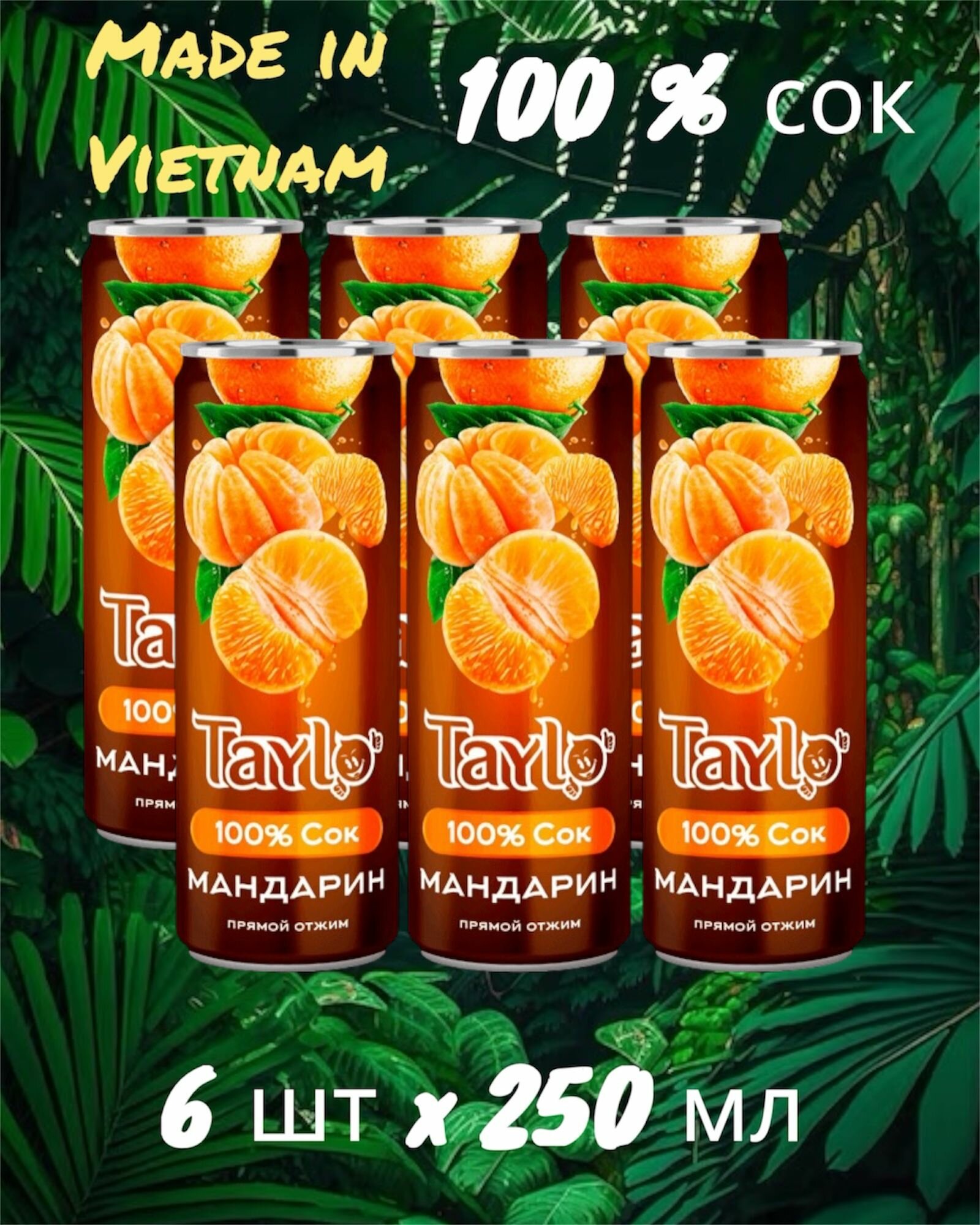 Сок мандарин 100% прямого отжима TAYLO Тайло, 6 шт по 250 мл, Вьетнам