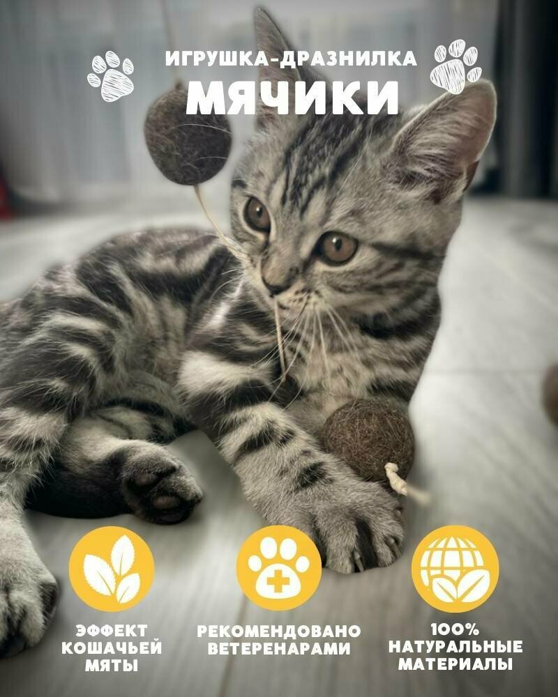 Игрушка для кошки из натуральной шерсти, дразнилка Мячики