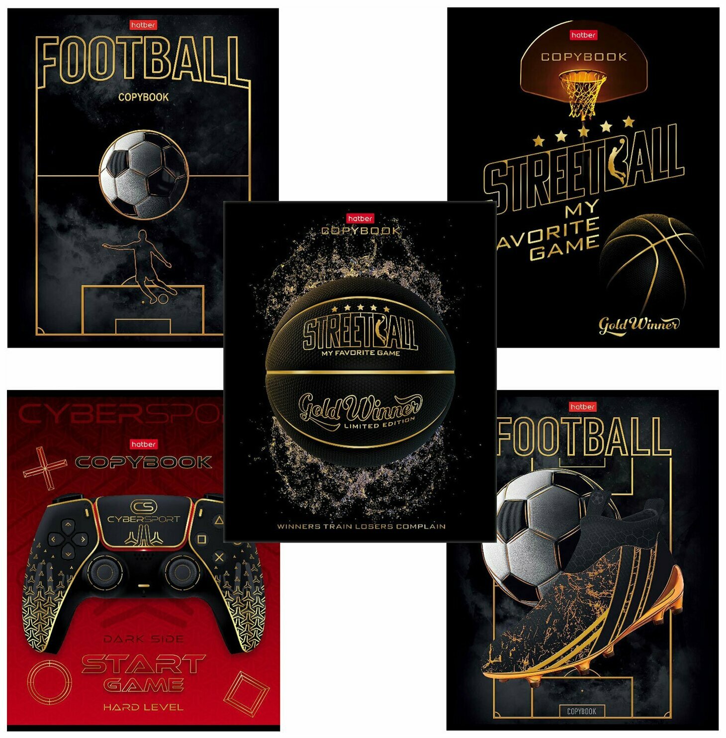 Тетрадь А5 48 л. HATBER скоба, клетка, матовая ламинация, 3D, "Ассорти" (5 видов в спайке), 48Т5лофВ1 - 5шт.